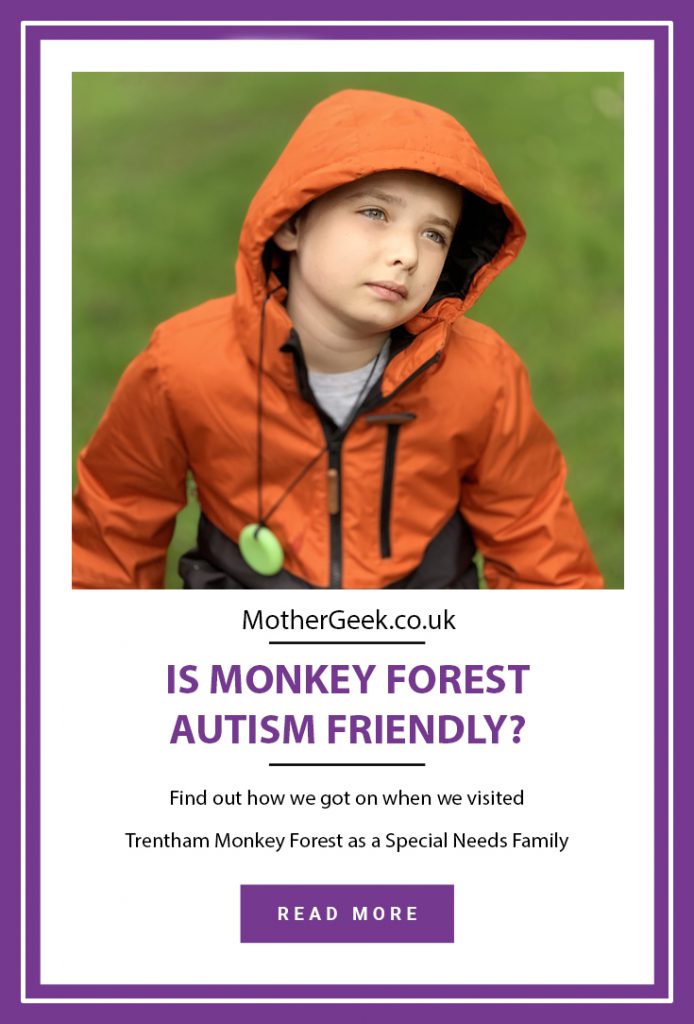 Is Monkey Forest Autism Friendly? We Found Out! - MotherGeek